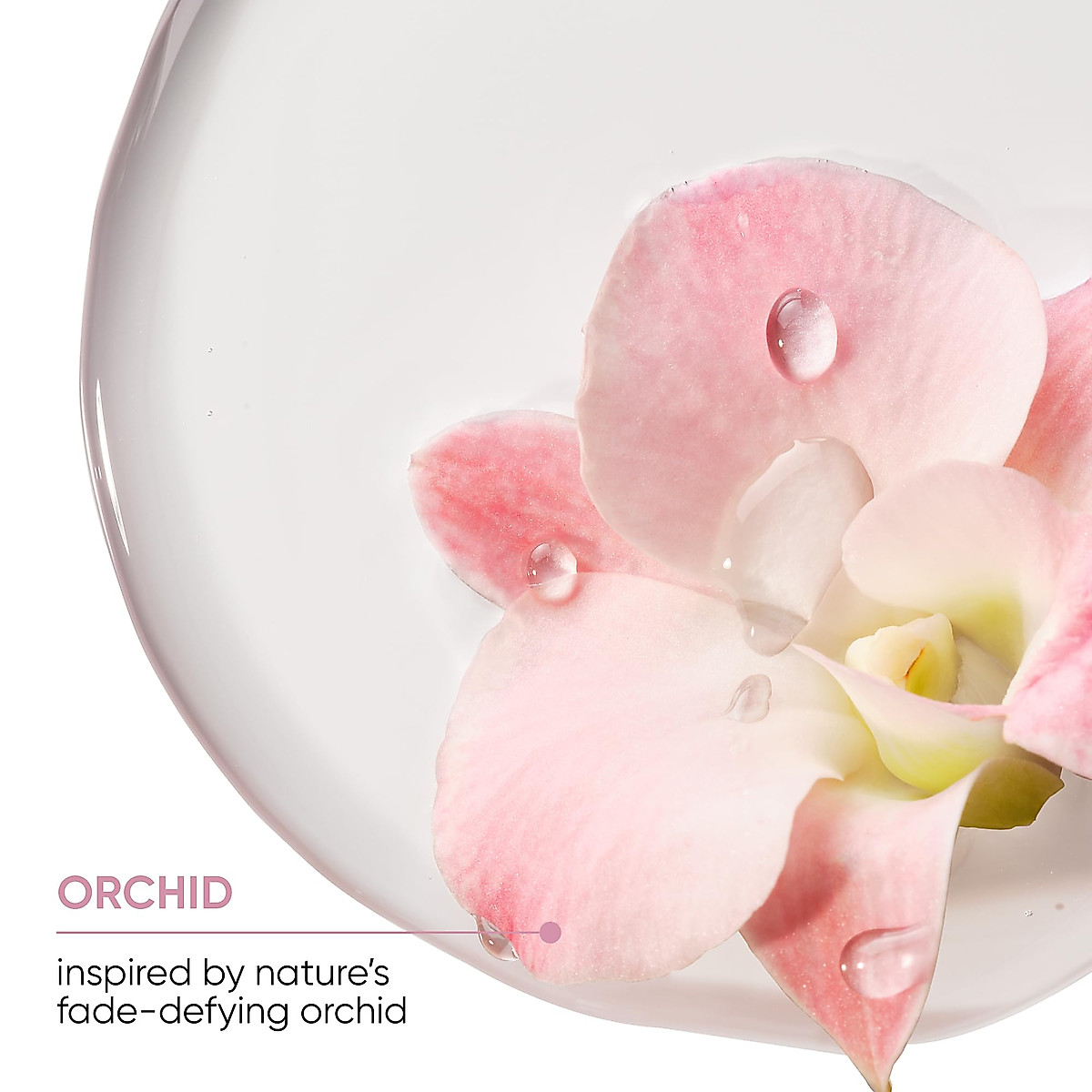 Biolage Color Last Conditioner | Color Safe Conditioner | Helps Maintain Depth & Shine | For Color-Treated Hair | Paraben & Silicone-Free | Vegan​| Cruelty Free | 33.8 Fl. Oz