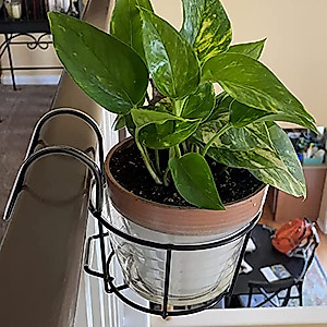 EIMQUVW 4 Pack Round Hanging Railing Planters Basket Metal Balcony Planters Railing Hanging Flower Pot Holders for Outside,Indoor，Balcony,Garden(20CM)