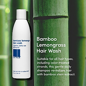 LATHER - Bamboo Lemongrass Hair Wash, 8 fl oz (2-Pack) - Daily Shampoo & Cleanser - Revitalize Hair - Bamboo, Comfrey, Chamomile - Sensitive Skin Safe - Vegan & Cruelty Free - Beauty & Hair Care