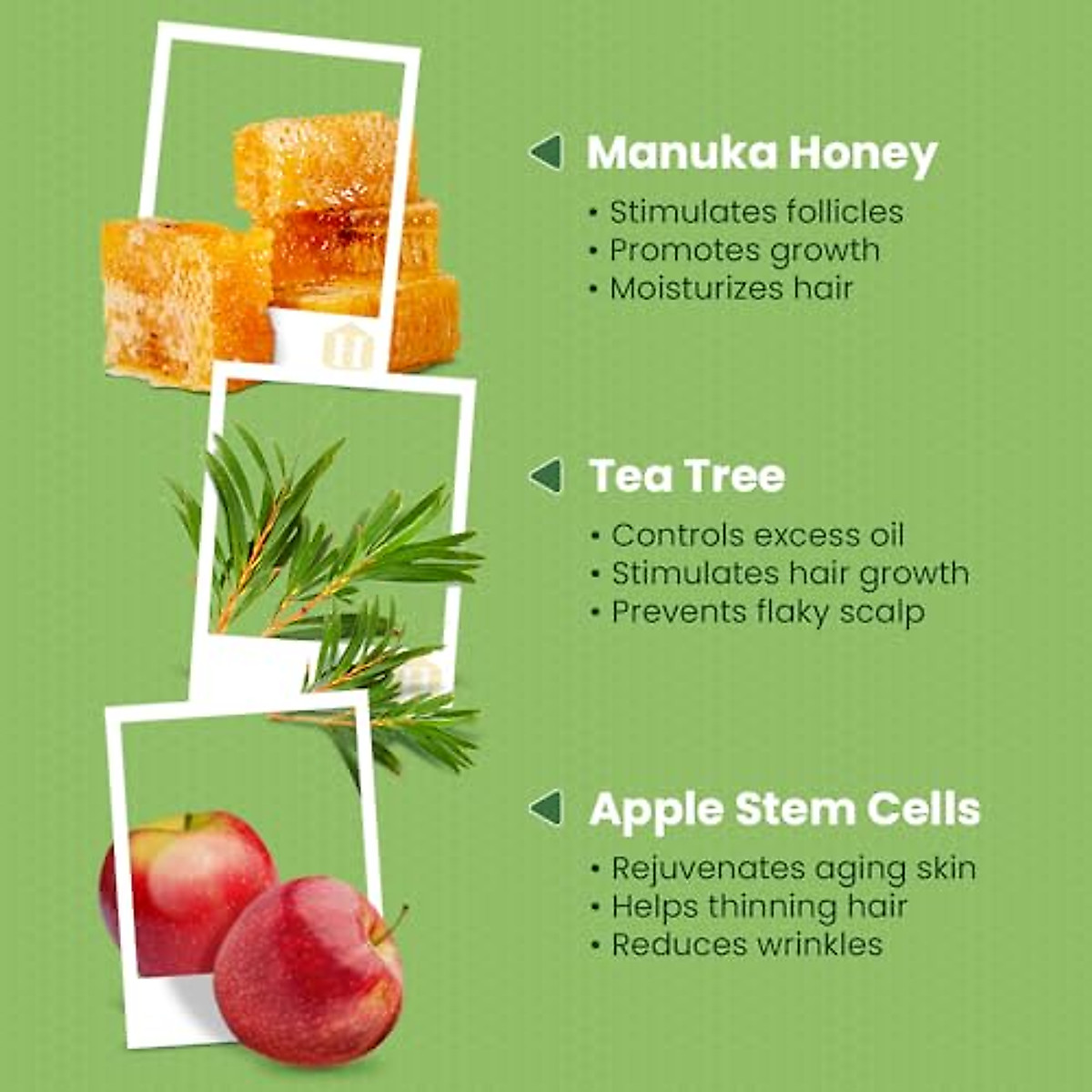 Tea Tree Conditioner - Dry Hair Treatment with Manuka Honey - Scalp and Hair Moisturizer for All - Sulfate Free (16oz)