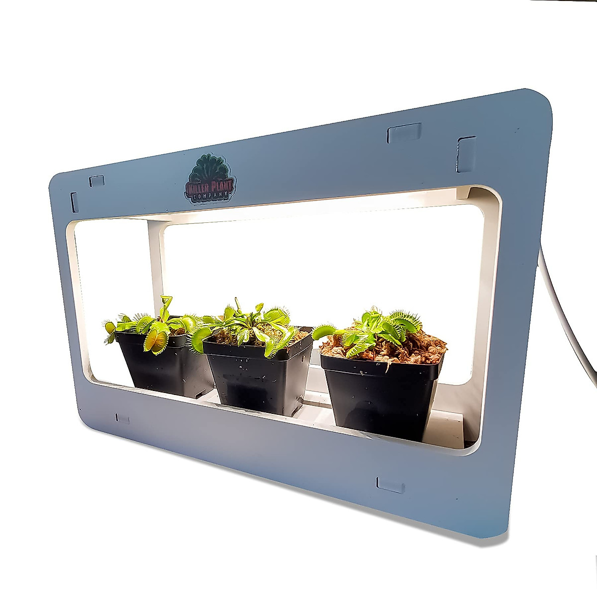 Venus Fly Trap Terrarium - for Indoor Growing - Perfect for Growing Carnivorous Plants Indoors - 16 Hour Automatic Timer -