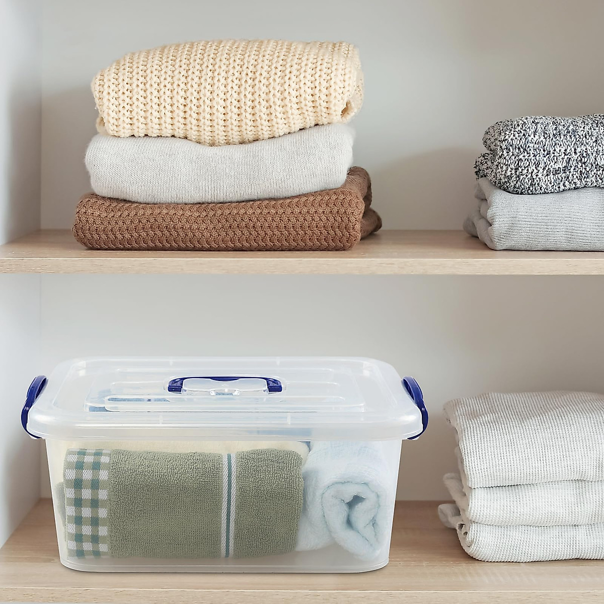 Asking 8 L Clear Storage Latch Box with Handle, 2-Pack Plastic Storage Boxes