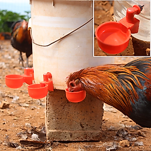Chicken Water Cups, 6pcs Automatic Chicken Water Feeder, Poultry Waterer Kit Suitable for Chicks, Duck, Goose, Turkey and Bunny, 6-Pack