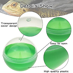 CooShou 6Pcs Lizard Bearded Dragon Feeding Toys Ball Reptile Food Toys Ball Lizard Interactive Toys for Bearded Dragon, Lizard, Gecko and Small Animals