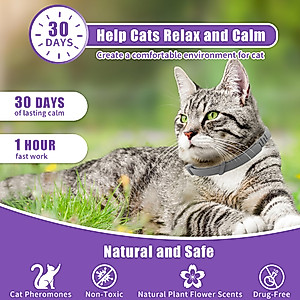 Yirr Calming Collar for Cats, Cat Calming Collar, Cat Pheromone Collar, Cat Calming Collar for Indoor Outdoor Cats, Relaxing Pheromone for Cat Relief Stress Anxiety Fighting Scratching, 4 Pack(Grey)