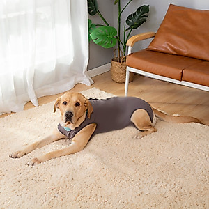 Musraya Dog Surgery Recovery Suit, Onesies for Dogs After Surgery, Dog Spay Recovery Suit Female, Breathable Neutering Recovery Suit for Male Dogs, Puppy Onesies Dog Surgical Suit (Darkgrey,S)