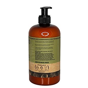 Urban Hydration Jamaican Castor Oil Shampoo and Detangler | Sulfate, Paraben and Dye Free, Cleanses, Hydrates and Repairs Damage for Soft, Strong and Shiny Hair, All Hair Types, 16.9 Fl Ounces