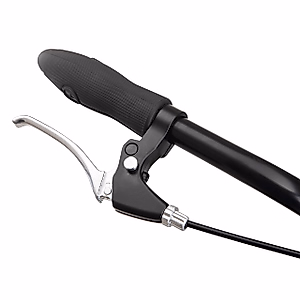 Schwinn Meridian Adult Tricycle Bike, Mens and Womens Three Wheel Beach Cruiser, 26-Inch Wheels, Low Step-Through Frame, Wide Seat, Rear Folding Basket, Single-Speed, Green