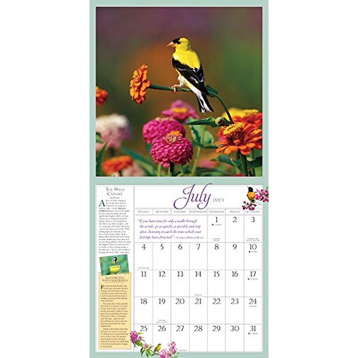 Audubon Birds in the Garden Wall Calendar 2021