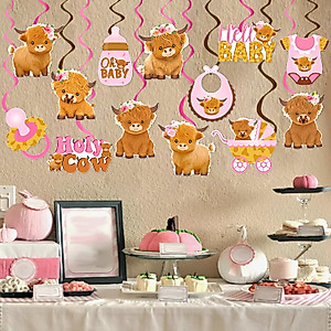 Highland Cow Baby Shower Hanging Swirls Holy Cow Baby Shower Decorations 20Pcs Highland Cattle Birthday Party Ceiling Hanging Decor Cow Party Streamers for Farm Animals Party Supplies