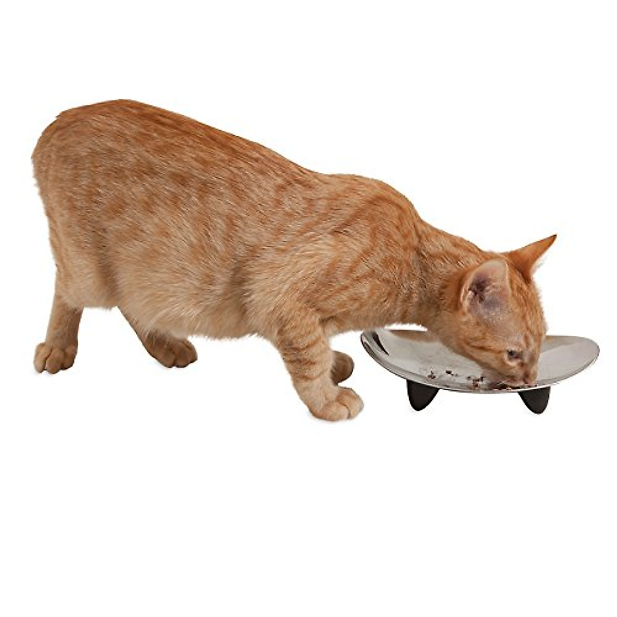 Petmate Jackson Galaxy Nova Stainless Steel Cat Bowl