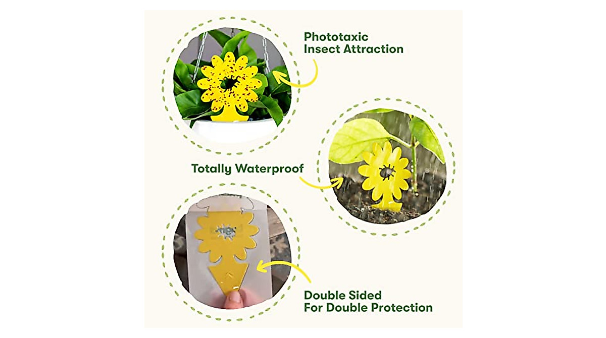BugMD Sticky Bug Traps - Effective Indoor & Outdoor Pest Control