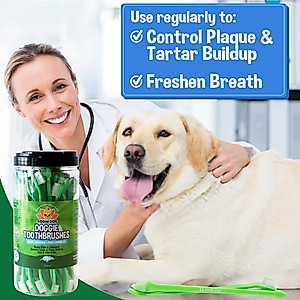 Bodhi Dog Dual-Headed Long Dog & Cat Toothbrush | Puppy Toothbrush with Soft Bristles for Pet Dental Care | Easy Teeth Cleaning Dog Toothbrush, 50 Count