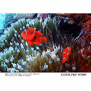 Nikon Digital Camera COOLPIX W300 COOLPIX Orange Waterproof Camera (International Version)