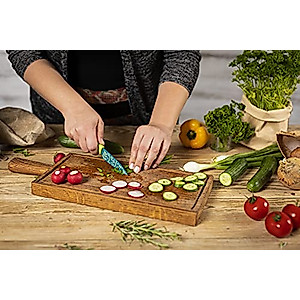 KUHN RIKON 22767 Colori+ Non-Stick Serrated Paring Knife with Safety Sheath, 19 cm, Herb