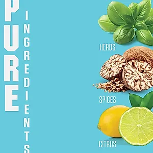 Nitro Musk 12 of the Most Popular Mens Colognes, Mens Oil Cologne Samples, Pure Natural Ingredients, Premium Oil Cologne, Perfect for Pocket Carry, Ingeniously Crafted by Musk & Hustle