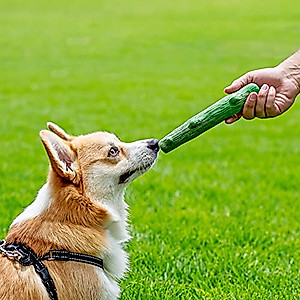 Petstages Dogwood Wood Durable Dog Chew Toys, Real Wood & Mint, 2-Pack, Large