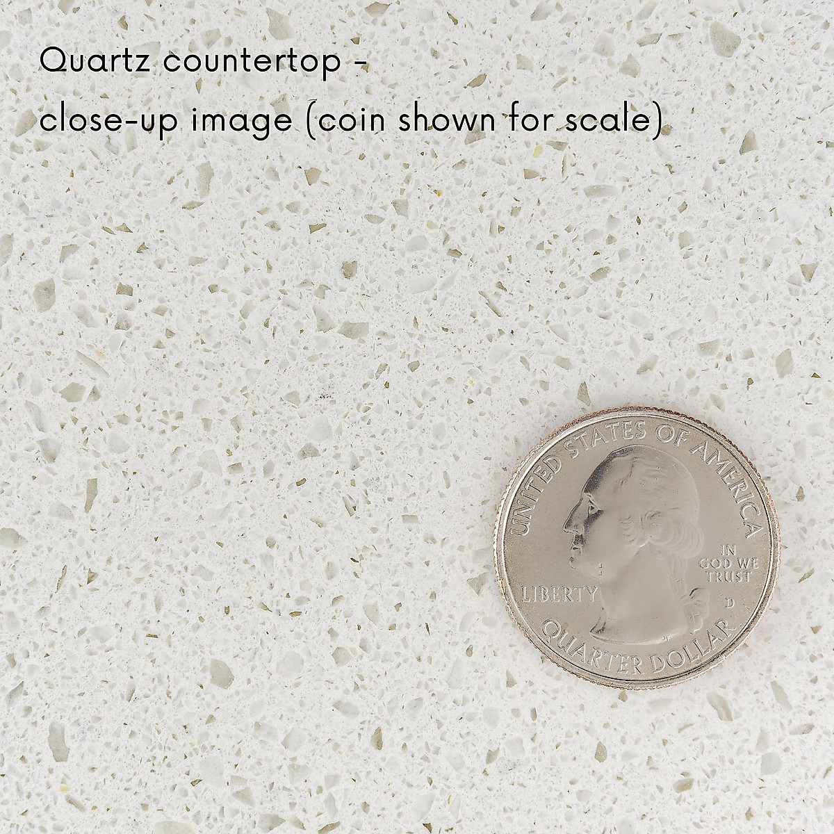 Charlotte 48-inch Bathroom Vanity (Quartz/Chocolate): Includes Chocolate Cabinet with Stunning Quartz Countertop and White Ceramic Farmhouse Apron Sink