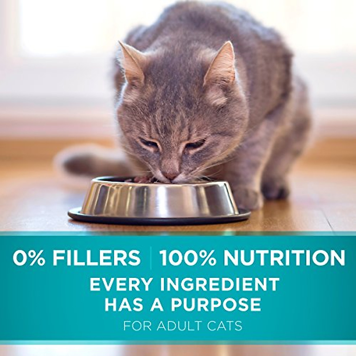 Purina ONE Natural Dry Cat Food, Tender Selects Blend With Real Chicken - 16 Lb. Bag