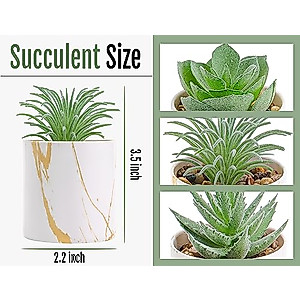 Der Rose 3 Packs Small Fake Plants Succulents Plants Artificial in Pots for Home Office Desk Decor for Women