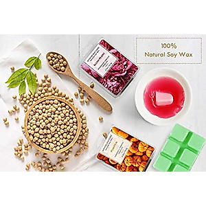 Scented Wax Melts, Wax Cubes, Scented Soy Wax Melts for Wax Warmer, 12 x 2.5 oz, 12 Home Fragrance Scents
