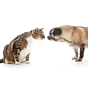 Cats Bad Breath Home Remedy - PROBIOTICS for Pets - Dogs Cats - Bad Gas and Breath Treats - Advanced Immune Boost - cat Digestive suppor - 3 Bottles (180 Treats)