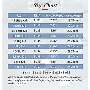 HHSTS Boys and Girls Flash Rechargeable Four-Wheeled Roller Derby Skates Easy to Learn and More Balanced Birthday