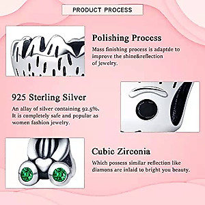 LONGLUCK 925 Sterling Silver Charms for Bracelets Necklaces Dangle Pendant With 5A Cubic Zirconias Bead Charm for Women DIY Jewelry