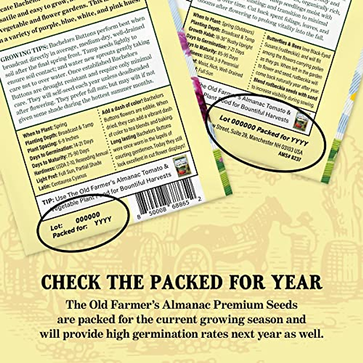 The Old Farmer's Almanac Heirloom Summer Squash Seeds (Yellow Crookneck) - Approx 70 Seeds - Non-GMO, Open Pollinated, USA Origin