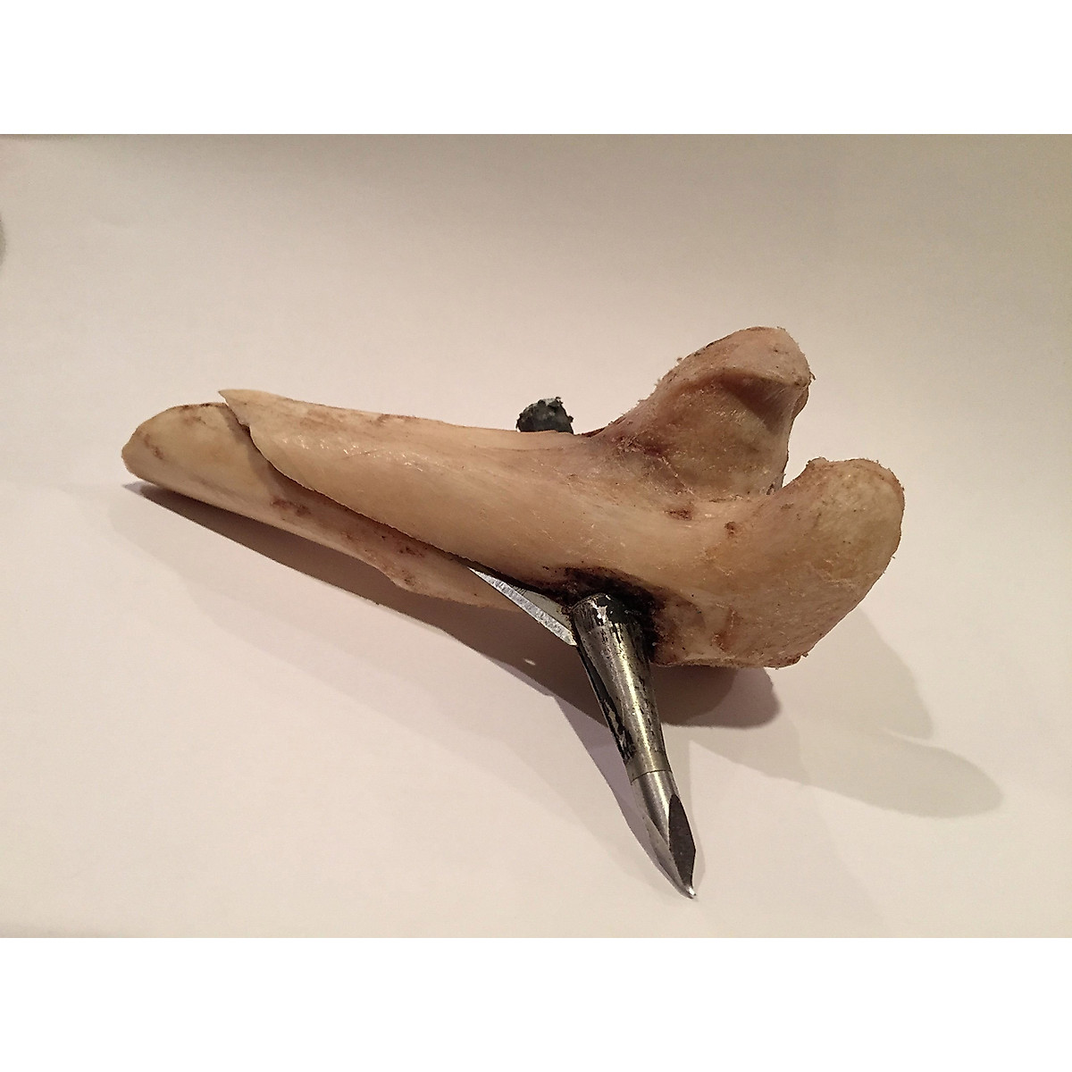 Jak-Knife by Wasp Archery