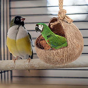 POPETPOP Coconut Shell Nest Toy Parakeet Bed Pet Bird Hanging Hut Wear-Resistant Bird Nest Bird Coconut Swing Bird Bed Bird Supply Bird Sleeping Nest Pet Parrot Sleeping Bed Long Tail House