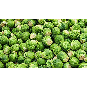 Long Island Improved Brussels Sprout Seeds for Planting, 200+ Heirloom Seeds Per Packet, (Isla's Garden Seeds), Non GMO Seeds, Botanical Name: Brassica oleracea, Isla's Garden Seeds