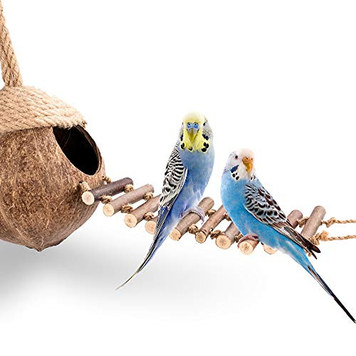 andwe Coconut Bird Nest Hut with Ladder for Parrots Parakeet Conures Cockatiel - Small Animals House Pet Cage Habitats Decor