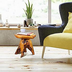 Brefhome Tree Stump Side Table Natural Edge Cedar Real Wood End Table,Small Wooden Mushroom Stool, Indoor/Outdoor