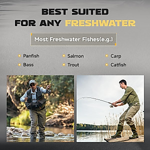 Divmystery Spinning Reel with Light & Tough Graphite Body and Rotor - Standard Series, 9+1 BB, 6.2:1 High-Speed Gear Ratio - CNC Aluminum Spool & Handle Fishing Reels for Freshwater