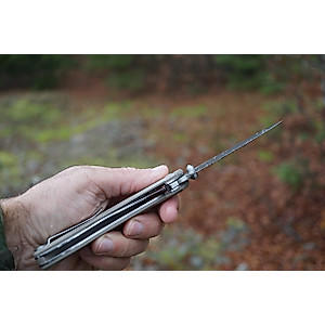 Ruike Camping Tactical Folding Pocket Knife, 14C28N, Liner Lock, Ball Bearing,Fast Opening Flipper,EDC Hunting Survival for Men Women, P155