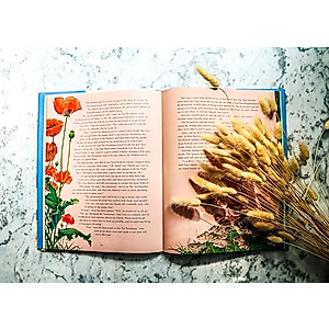 The Wizard of Oz Hardcover: The Classic Edition (by acclaimed illustrator) (Follow The Yellow Brick Road to Adventure) (Charles Santore Children's Classics)