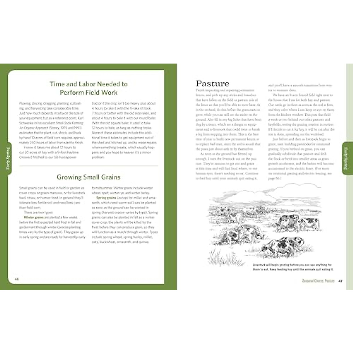 The Backyard Homestead Seasonal Planner: What to Do & When to Do It in the Garden, Orchard, Barn, Pasture & Equipment Shed