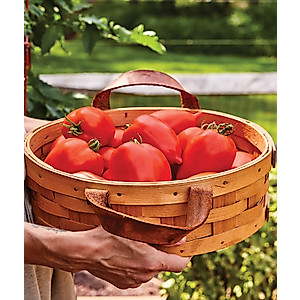 Burpee 'Big Mama' Hybrid, Large Red Paste Tomato, 50 Non-GMO Seeds