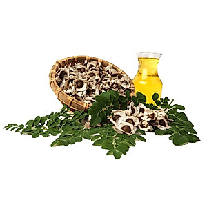 Yerbero - 100% All Natural Moringa Oleifera Seeds 600 Count (6oz) | (Drumstick Tree) | Semillas De Moringa Comestibles