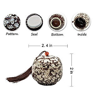 patscorai Small Urns for Human Ashes, Set of 5 Decorative Cremation Keepsakes Made of Ceramic, Mini Urns for Adult Ashe, Personal Funeral for Pet or Human Ashes(Set of 5)