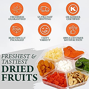 Dried Fruit Platter Gift Basket - 7 Sectional Gift Box with a Various Fresh Fruits - Easter Gift Basket - Vegan Gift Basket Beautifully Packaged, Thanksgiving, Get Well Soon, Birthday, Thank You Gift (Green Box)