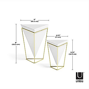Umbra - 1004372-524 Trigg Desktop Planter Vase & Geometric Container-for Succulent, Air, Mini Cactus, Faux Plants and More, Desk, White/Brass