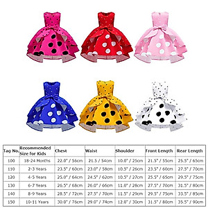 Mouse Dress Girls Mouse Costume for Toddler Baby Birthday Outfit Polka Dots Infant Kids Halloween Costumes Dress Up Headband Cosplay Mini Princess Gown Themed Party Supplies Pink 2-3T