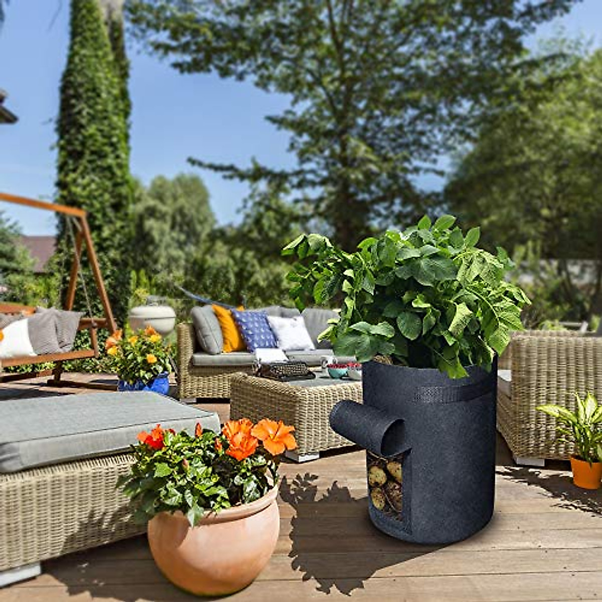 Gardzen 6 Pack BPA-Free 10 Gallon Vegetable Grow Bags with Access Flap and Handles, Suitable for Planting Potato, Taro, Beets, Carrots, Onions, Peanut