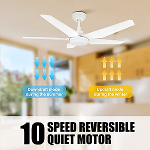 SMAAIR 52 inch Smart Ceiling Fan with Light, 5 Blades Low Profile Ceiling Fan with 10 speed DC Motor and Dimmable LED Light, works with APP/Alexa/Google Assistant/Siri Shortcuts (White)