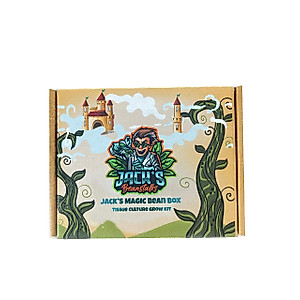 Thai Con Monstera Rare Plant Grow kit