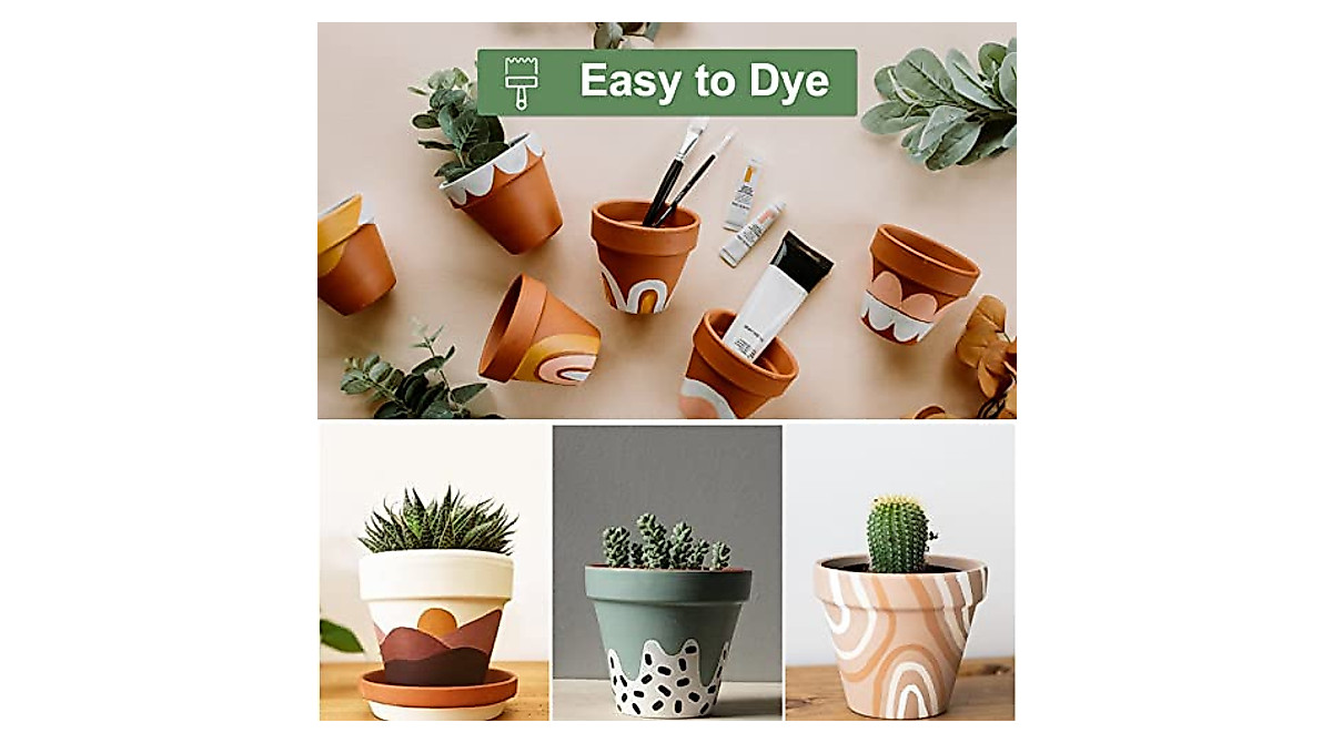 Premium 4 Inch Terracotta Pots with Saucer - 6 Pack