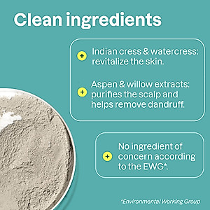 ATTITUDE 2-in-1 Body Wash and Hair Shampoo, EWG Verified Shower Gel, Dermatologically Tested, Made with Naturally Derived Ingredients, Vegan Personal Care, Black Willow and Aspen, 16 Fl Oz