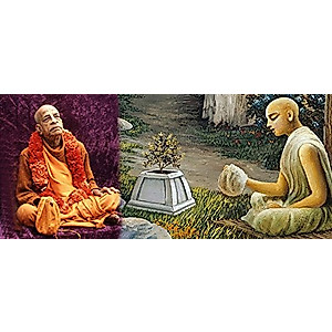 IS4A 8MM TULSI HOLY BASIL PRAYER BEADS JAPA MALA NECKLACE HAND KNOTTED. KARMA (108+1) BEADS. BLESSED & ENERGIZED HINDU TIBETAN BUDDHIST SUBHA ROSARY (ORANGE TESSEL)